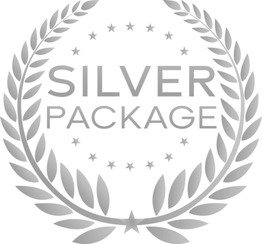 Silver Package Exhaust Hood Cleaning – MFS Trade School